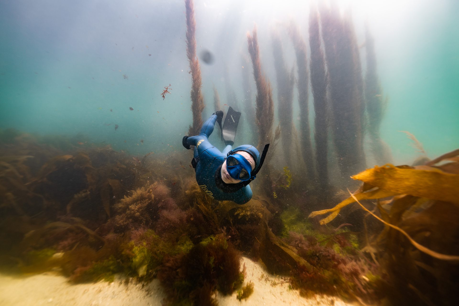 Courses | Aquacity Freediving