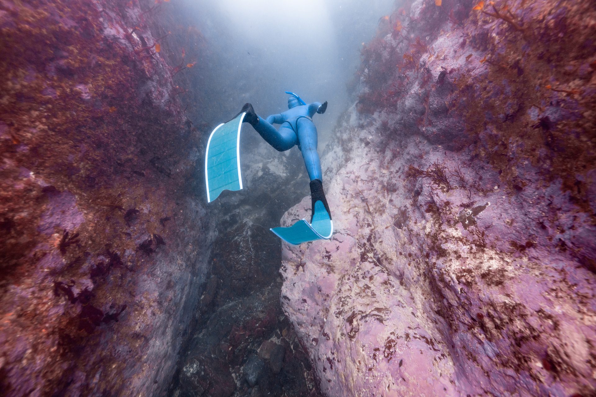 Courses | Aquacity Freediving