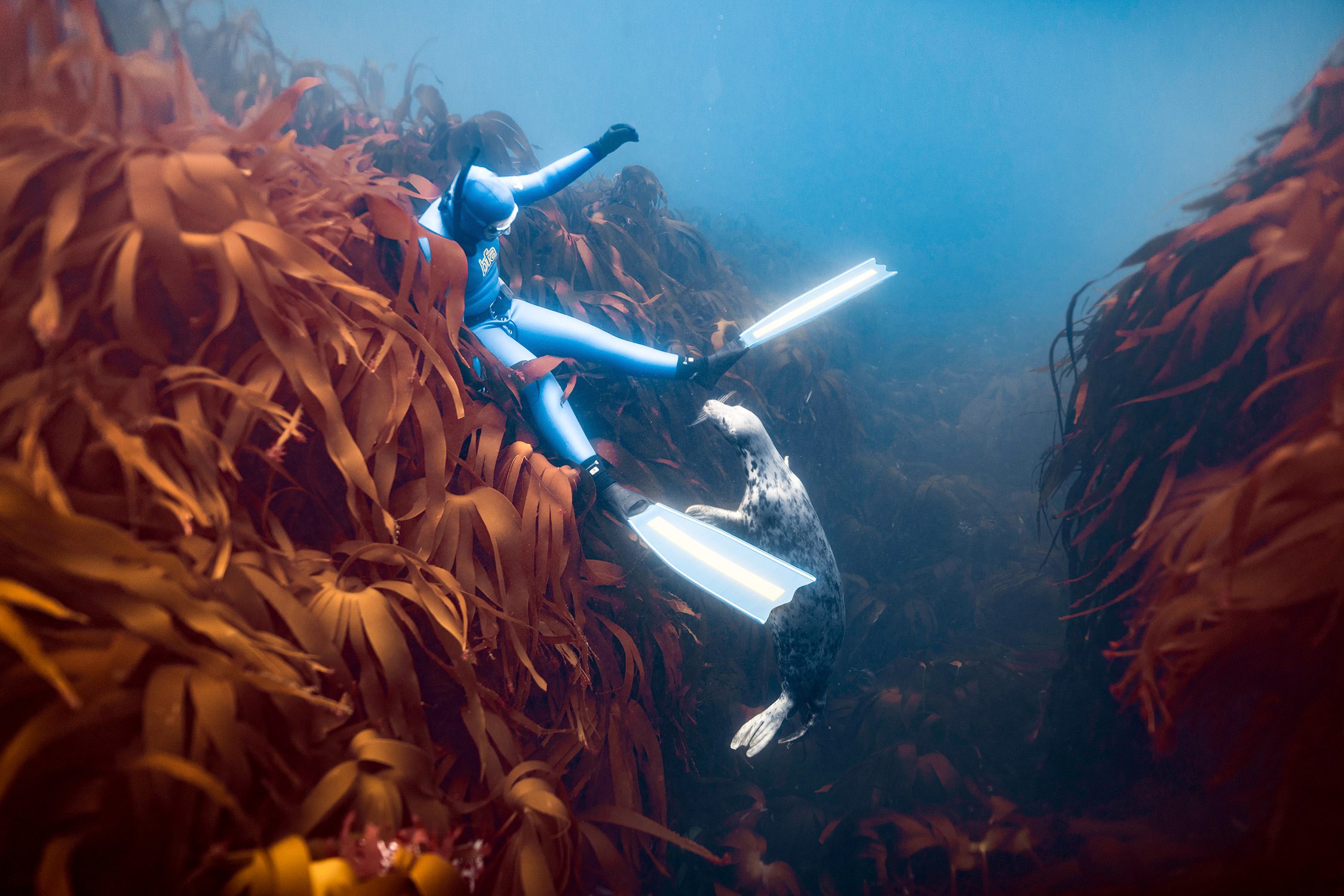 Home Page | Aquacity Freediving