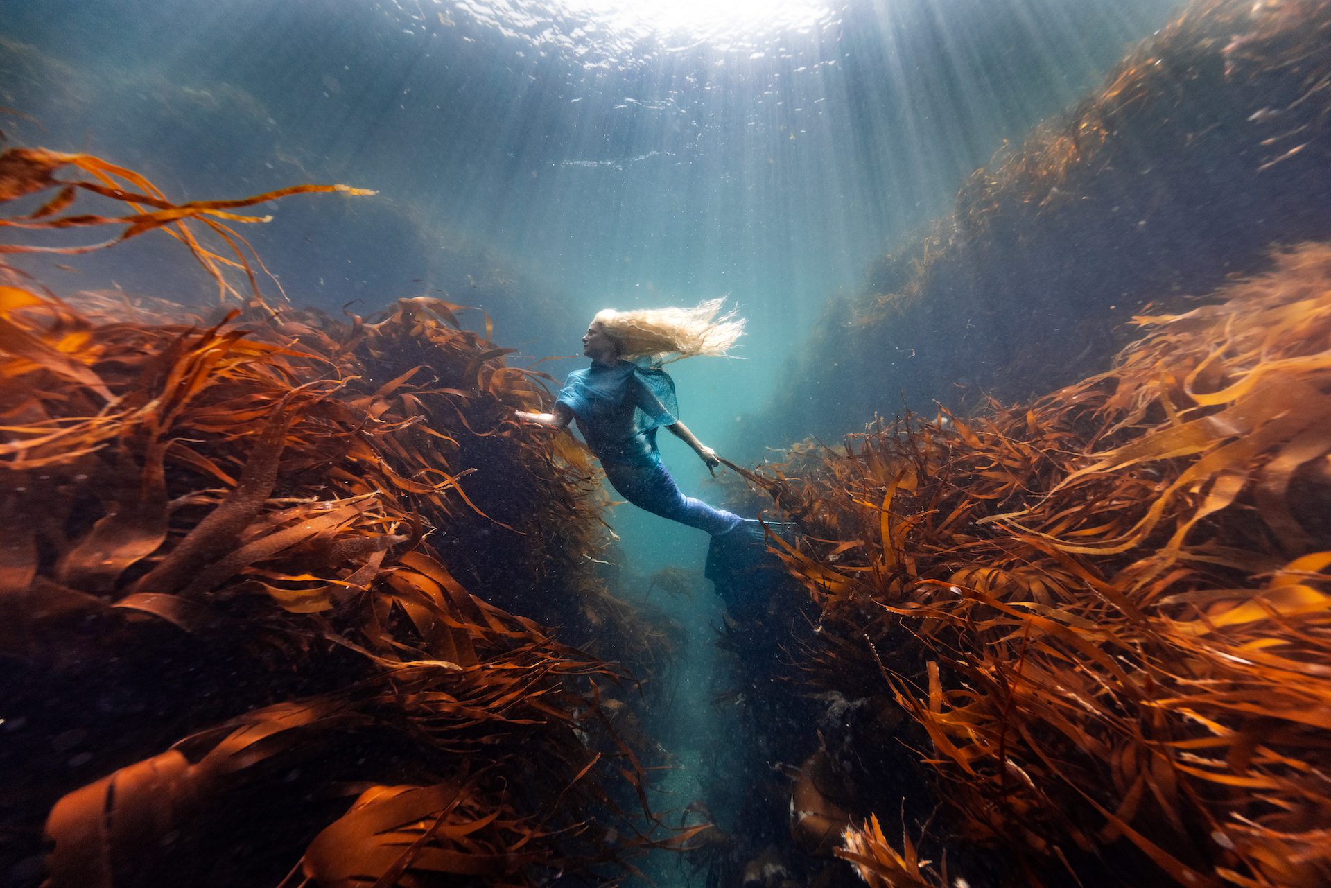 Home Page | Aquacity Freediving